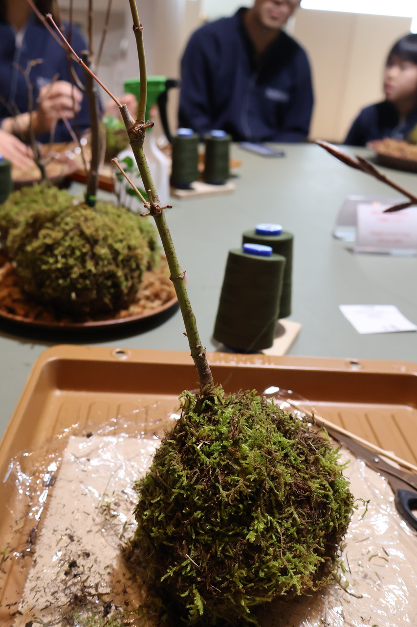 こんな楽しみ方があった！青森で体験したい非日常な冬の旅【星野リゾート 奥入瀬渓流ホテル】（写真 26/81） - mimot.(ミモット)