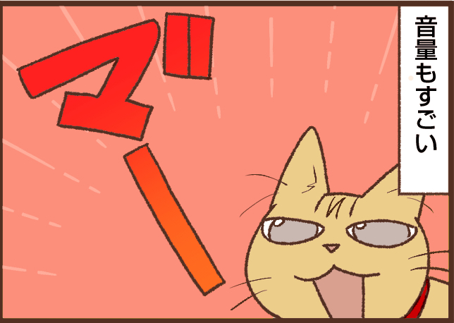 【吉川さん家の猫事情】#96話 年を取ると別ステージに♪（写真 3/8） - マンガ連載：吉川さん家の猫事情 - mimot.(ミモット)