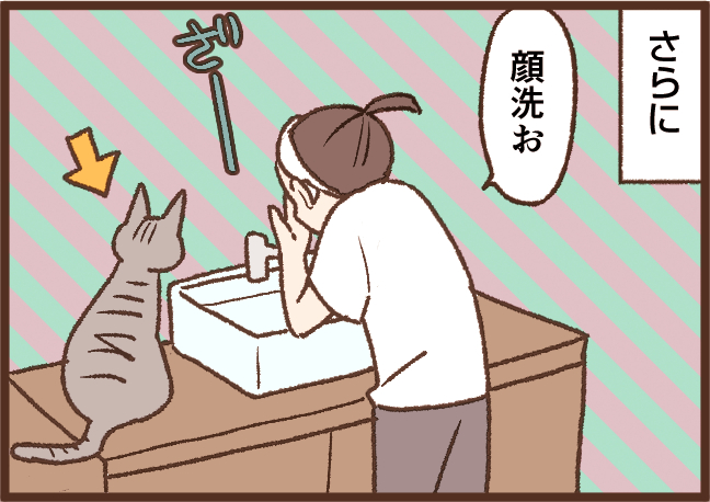 【吉川さん家の猫事情】#41話 生きたいように生きるのがネコ！（写真 6/9） - マンガ連載：吉川さん家の猫事情 - mimot.(ミモット)