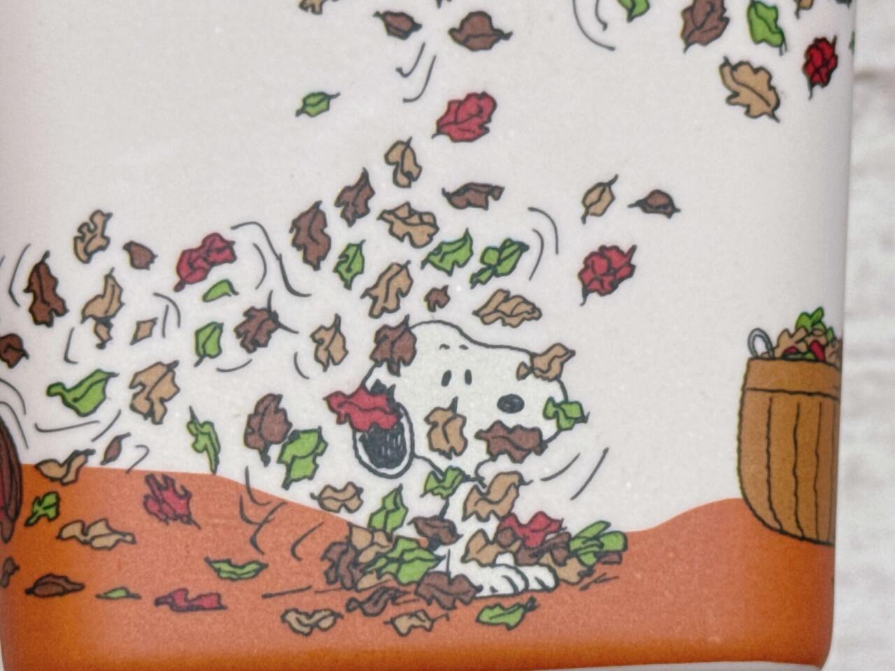 便利でおいしい♪カルディのスヌーピー新作お菓子セットはポーチ＆コンテナ付き！（写真 23/27） - mimot.(ミモット)