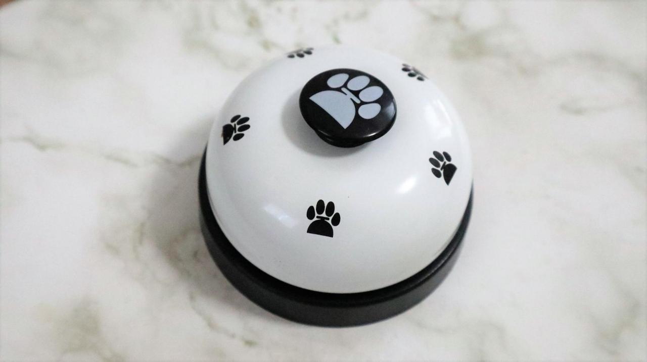 【可愛さ爆発】ネコ専用ベルを置いたら…反応がヤバすぎて笑顔が止まらない！（写真 3/23） - mimot.(ミモット)