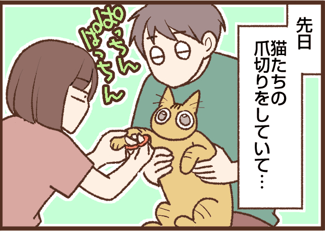 【吉川さん家の猫事情】#93話 大騒動の夜（1/2） - マンガ連載：吉川さん家の猫事情 - mimot.(ミモット)