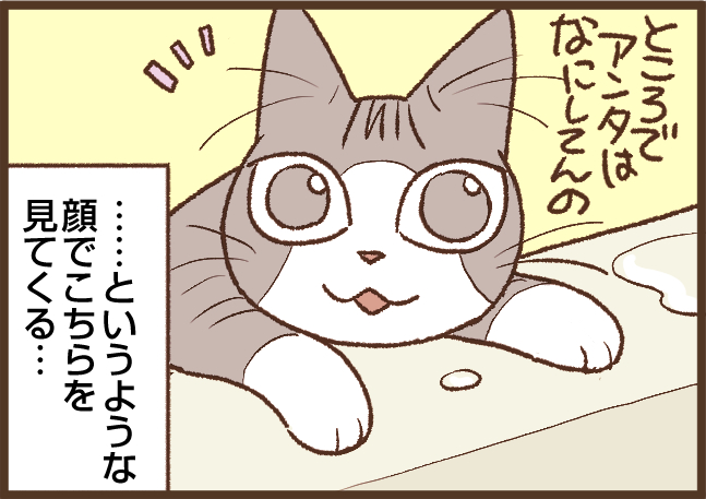 【吉川さん家の猫事情】#27話 お風呂好き猫の不思議（写真 4/9） - マンガ連載：吉川さん家の猫事情 - mimot.(ミモット)