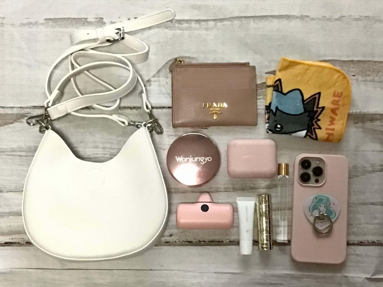 GRLグレイルの田中みな実さんバッグに衝撃！豪華さに感激♪（写真 26/28） - mimot.(ミモット)