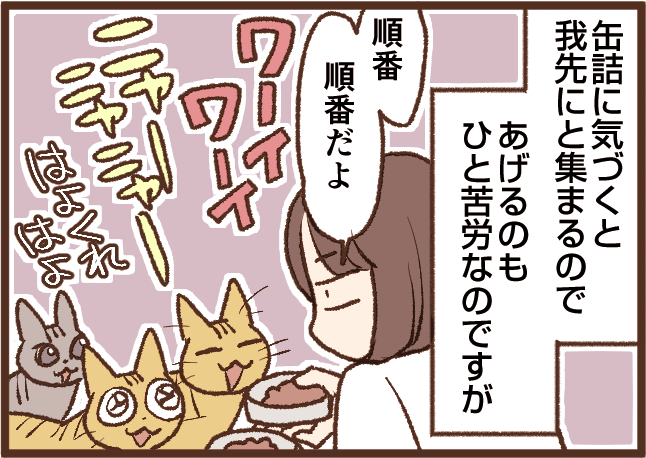 【吉川さん家の猫事情】#51話 他のネコたちとちょっと違う！（写真 3/9） - マンガ連載：吉川さん家の猫事情 - mimot.(ミモット)