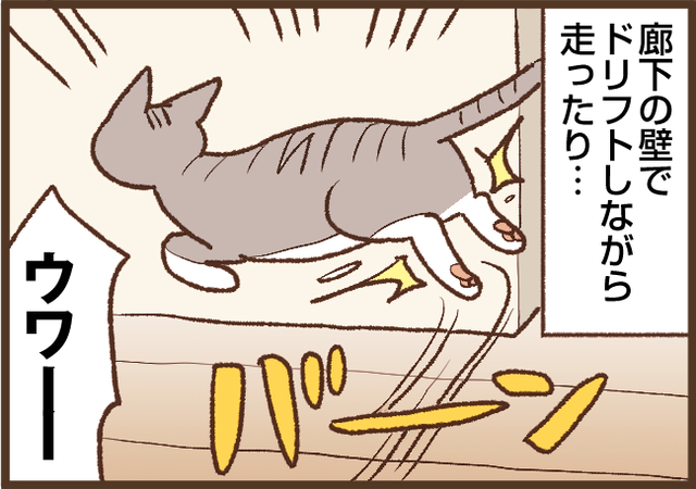 【吉川さん家の猫事情】#73話 美術館から来たネコ（写真 6/8） - マンガ連載：吉川さん家の猫事情 - mimot.(ミモット)