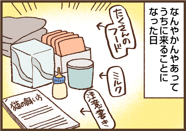 【吉川さん家の猫事情】#73話 美術館から来たネコ（写真 3/8） - マンガ連載：吉川さん家の猫事情 - mimot.(ミモット)