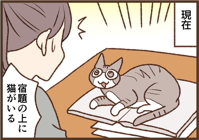 【吉川さん家の猫事情】#77話 娘とネコの10年（写真 6/8） - マンガ連載：吉川さん家の猫事情 - mimot.(ミモット)