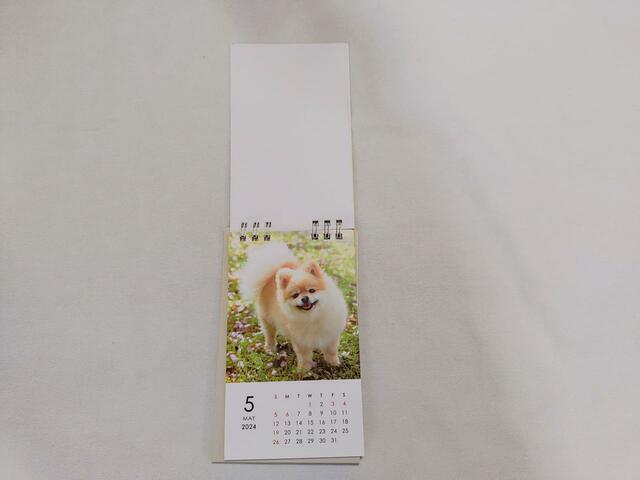 セリアで見つけた！オシャレ＆可愛い「2024年卓上カレンダー」おすすめ7選（写真 17/35） - mimot.(ミモット)