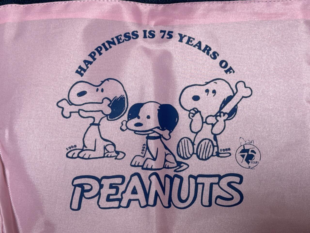 【PEANUTS最新付録】スヌーピーのポーチ2点セットがかわいくて便利！旅行にも持っていきたい♪（写真 12/27） - mimot.(ミモット)