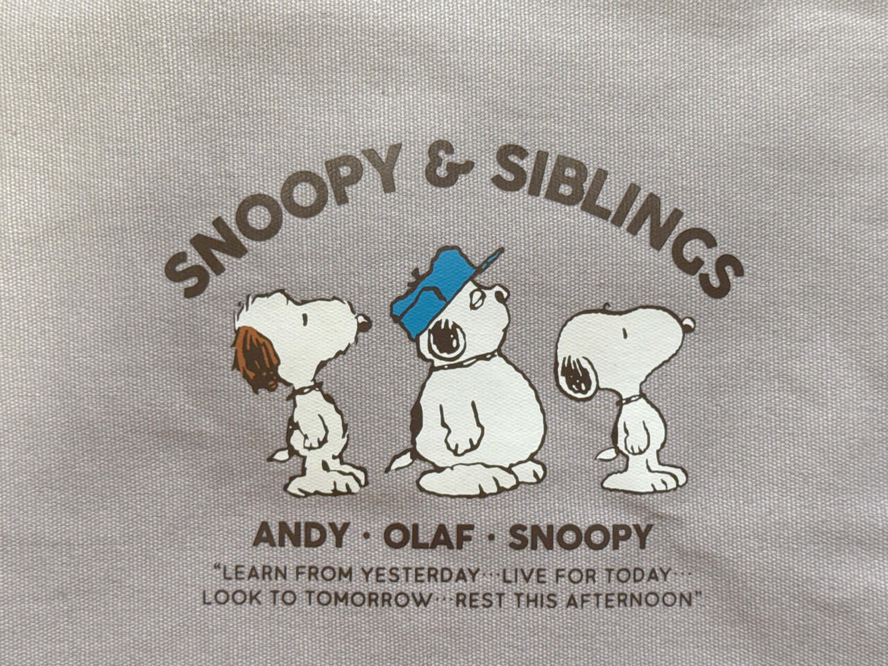 ハニーズで見つけた！ノートPCも入る「スヌーピーの大容量トートバッグ」オトナ可愛くって実用的♪（写真 6/23） - mimot.(ミモット)