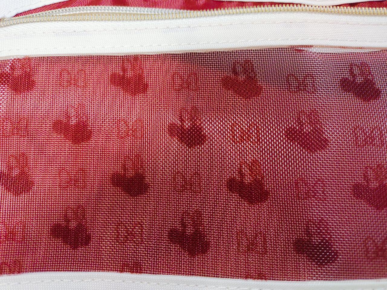 ゼクシィ最新付録がまたまた高クオリティ！ミニーの激かわトラベルポーチだよ♪（写真 19/40） - mimot.(ミモット)