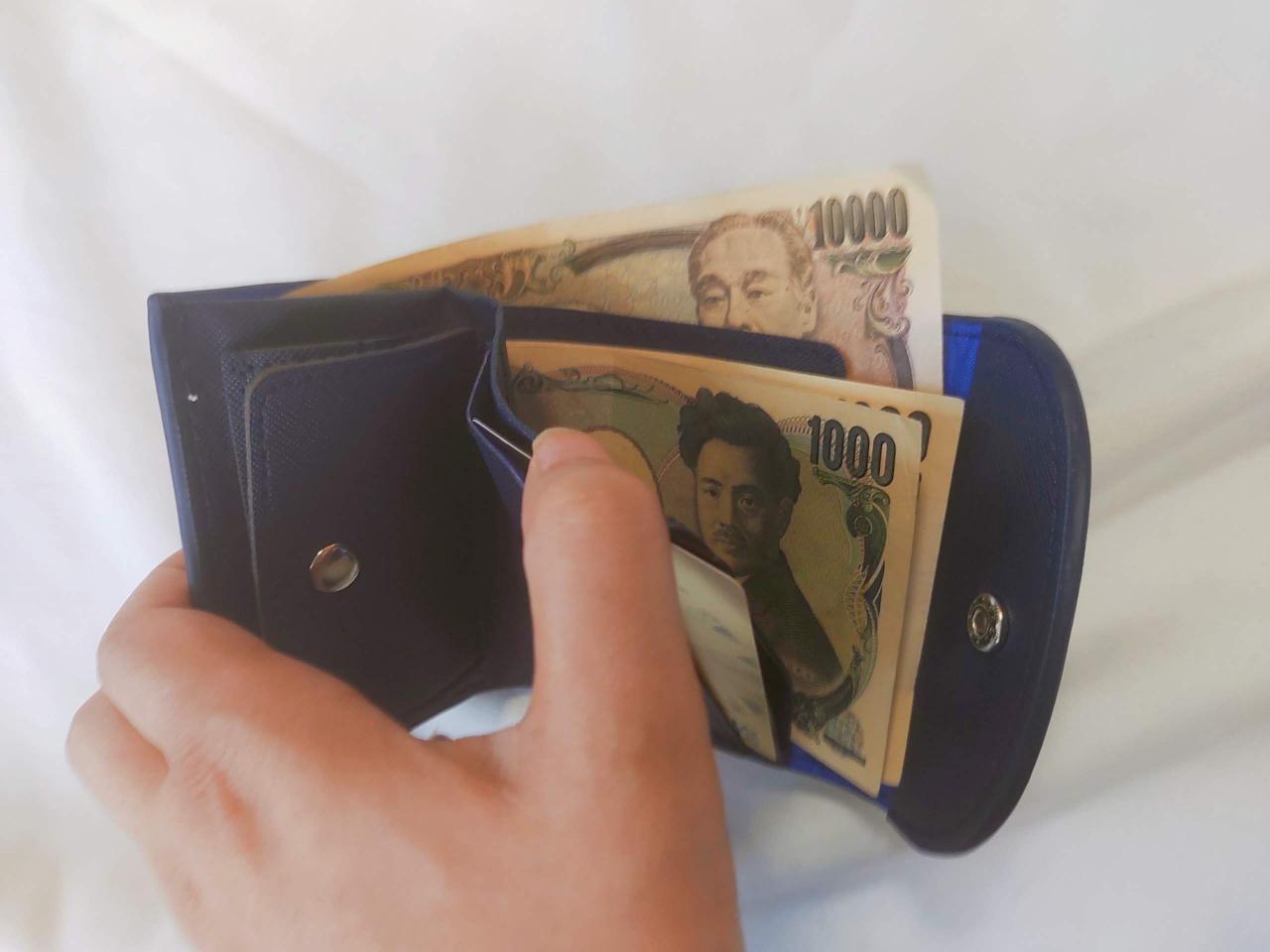 【MonoMaxの付録】バッキンガムベアの「めちゃ使えるミニ財布」収納力抜群＆高級感ハンパない！（写真 16/19） - mimot.(ミモット)