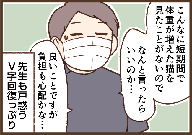 【吉川さん家の猫事情】#82話 先生もびっくり！？（写真 6/8） - マンガ連載：吉川さん家の猫事情 - mimot.(ミモット)