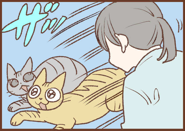 【吉川さん家の猫事情】#117話 片思い？三角関係？（写真 3/8） - マンガ連載：吉川さん家の猫事情 - mimot.(ミモット)