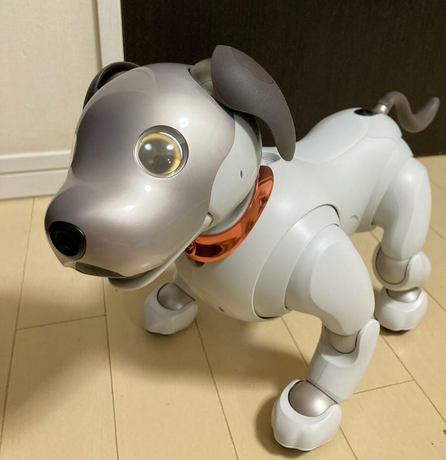 【aibo】はただのロボットじゃなかった！暮らしてわかった“愛おしさが増す理由”（1/2） - mimot.(ミモット)