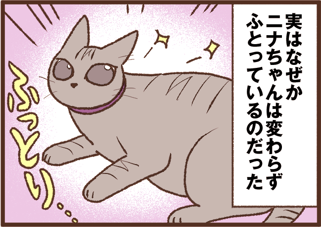 【吉川さん家の猫事情】#57話 ネコは年を取ると変わる？変わらない？（写真 5/9） - マンガ連載：吉川さん家の猫事情 - mimot.(ミモット)