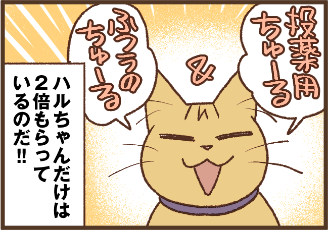 【吉川さん家の猫事情】#70話 とくべつなネコ！（写真 7/8） - マンガ連載：吉川さん家の猫事情 - mimot.(ミモット)