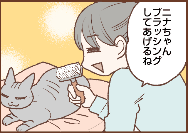 【吉川さん家の猫事情】#117話 片思い？三角関係？（1/2） - マンガ連載：吉川さん家の猫事情 - mimot.(ミモット)