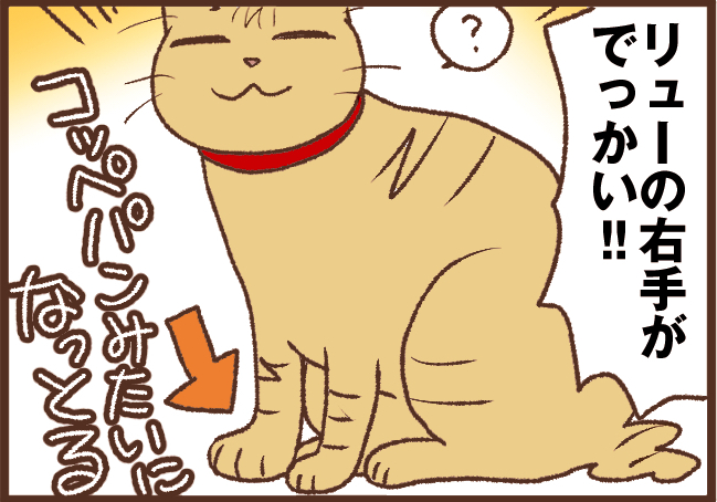【吉川さん家の猫事情】#105話 知らないコトがまだある…（写真 3/8） - マンガ連載：吉川さん家の猫事情 - mimot.(ミモット)