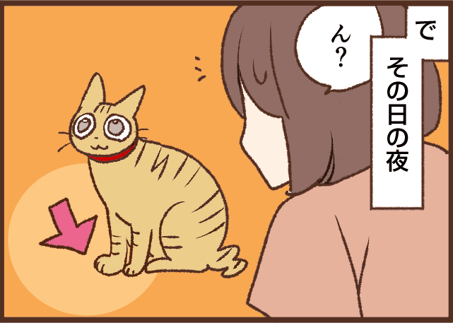 【吉川さん家の猫事情】#105話 知らないコトがまだある…（1/2） - マンガ連載：吉川さん家の猫事情 - mimot.(ミモット)