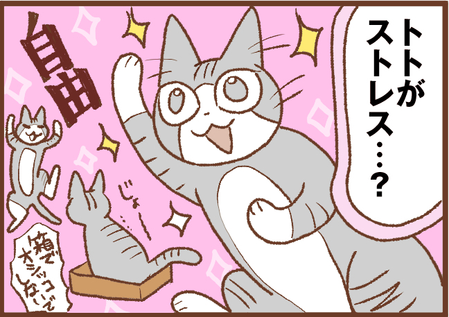 【吉川さん家の猫事情】#122話 毛が生えてきた！と思ったら…（写真 6/8） - マンガ連載：吉川さん家の猫事情 - mimot.(ミモット)