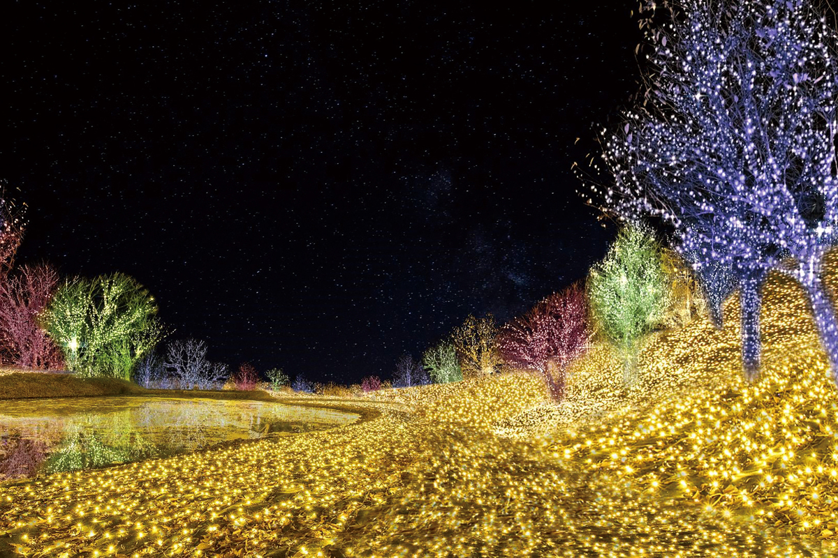 【写真満載】2020年「イルミネーションアワード」トップ10発表！【全国の夜景観光士厳選】（写真 27/30） - mimot.(ミモット)