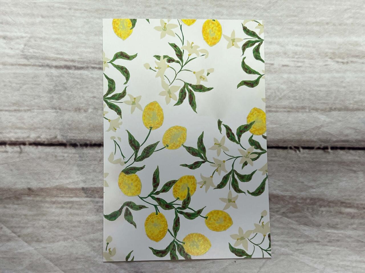 KEITA MARUYAMAの激かわ「パンダ缶」付録がすごい！おしゃれステーショナリー17点セットだよ♪（写真 35/42） - mimot.(ミモット)