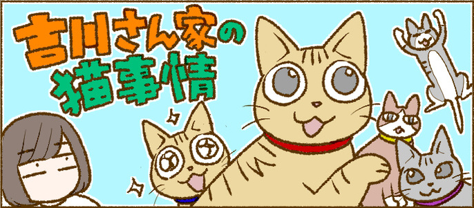 【吉川さん家の猫事情】#116話 出入り自由！（写真 4/8） - マンガ連載：吉川さん家の猫事情 - mimot.(ミモット)