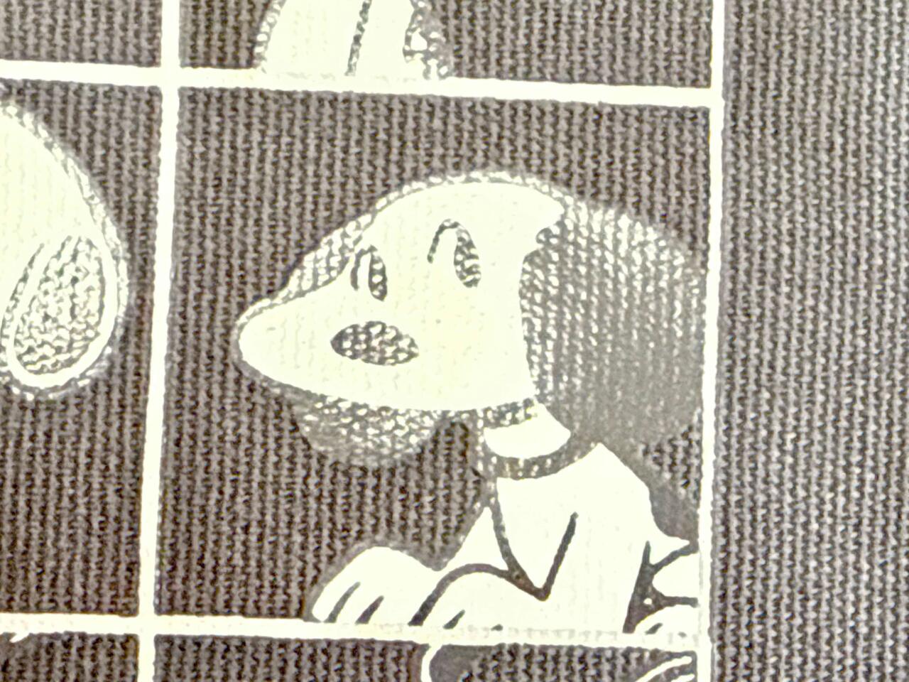 ハニーズからスヌーピーの新作トートでた！PCも入る便利サイズ♪完売する前にチェックしてね（写真 11/25） - mimot.(ミモット)