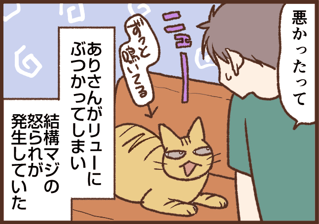 【吉川さん家の猫事情】#99話 ネコに怒られる…（写真 8/8） - マンガ連載：吉川さん家の猫事情 - mimot.(ミモット)