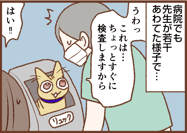 【吉川さん家の猫事情】#86話 シニア猫はいろいろありすぎる！（写真 2/8） - マンガ連載：吉川さん家の猫事情 - mimot.(ミモット)