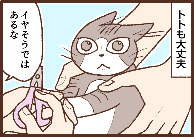 【吉川さん家の猫事情】#33話 我が家の一大イベント！（写真 4/9） - マンガ連載：吉川さん家の猫事情 - mimot.(ミモット)