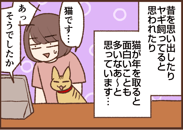 【吉川さん家の猫事情】#96話 年を取ると別ステージに♪（写真 8/8） - マンガ連載：吉川さん家の猫事情 - mimot.(ミモット)