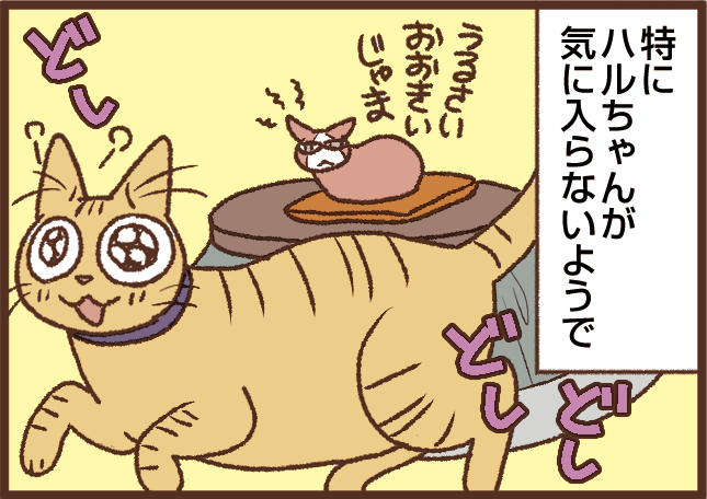 【吉川さん家の猫事情】#17話 ツンツン猫がいると大変！（写真 2/9） - マンガ連載：吉川さん家の猫事情 - mimot.(ミモット)