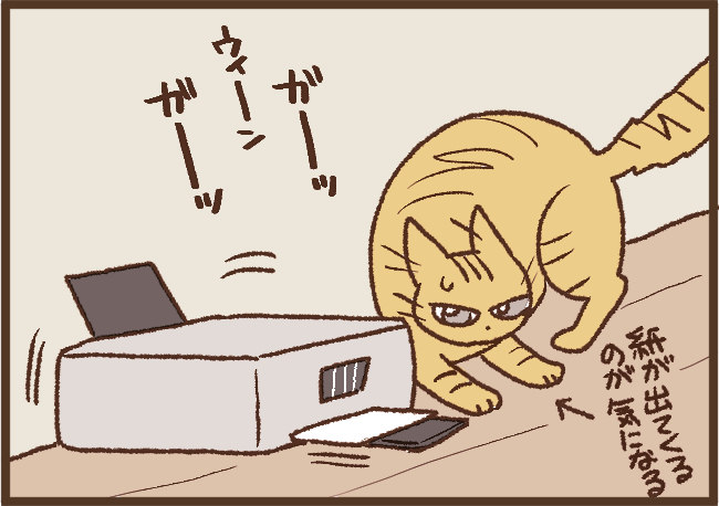 【吉川さん家の猫事情】#26話 “戦う猫”ハルちゃん（1/2） - マンガ連載：吉川さん家の猫事情 - mimot.(ミモット)