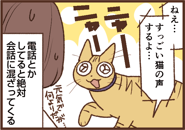 【吉川さん家の猫事情】#58話 クセ強なネコ（写真 9/9） - マンガ連載：吉川さん家の猫事情 - mimot.(ミモット)
