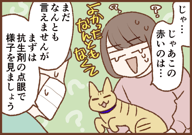 【吉川さん家の猫事情】#86話 シニア猫はいろいろありすぎる！（写真 5/8） - マンガ連載：吉川さん家の猫事情 - mimot.(ミモット)