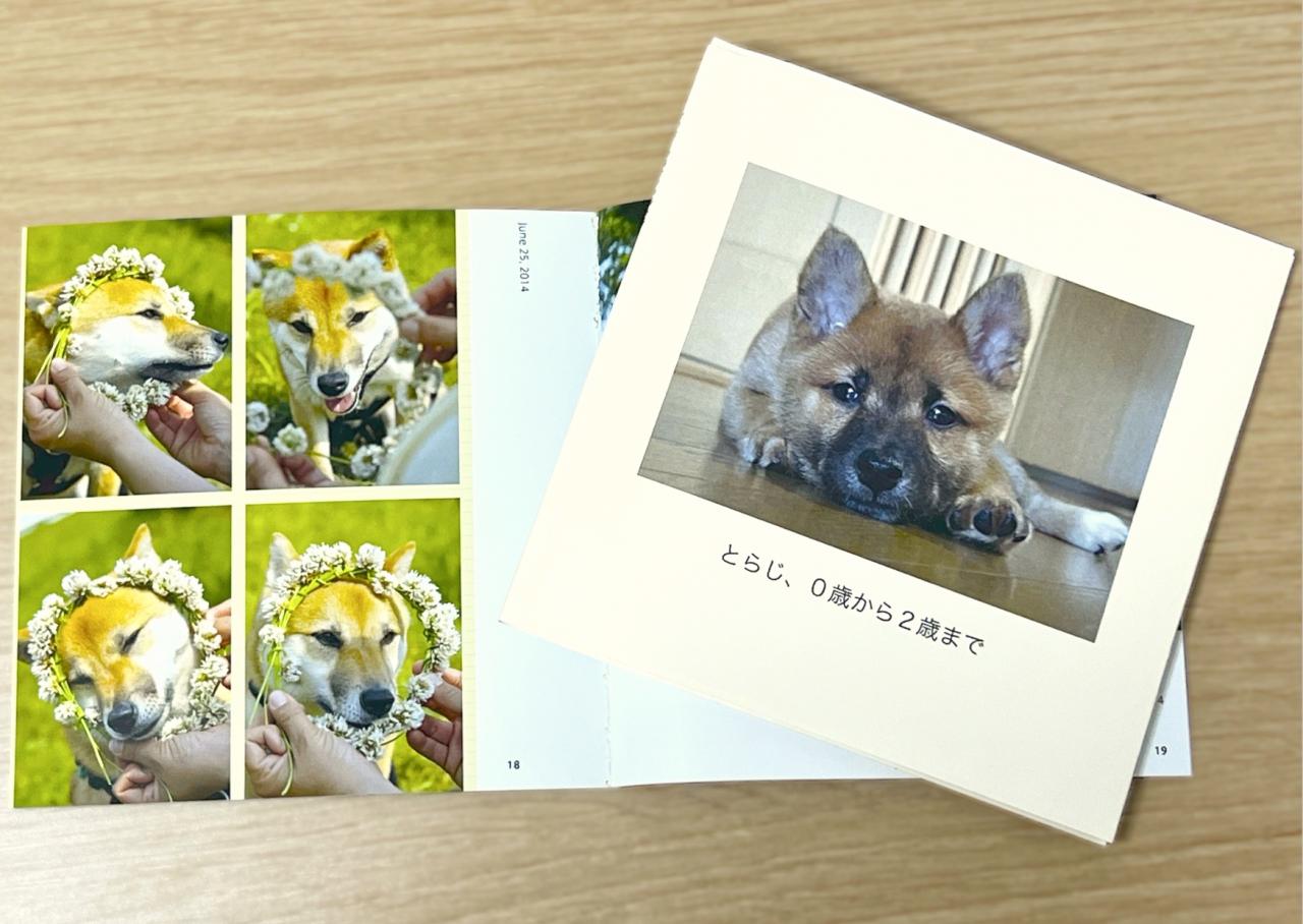簡単にかわいく仕上がる！ペットの「アルバム・フォトブック」おすすめサービス4選（写真 1/12） - mimot.(ミモット)