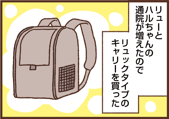 【吉川さん家の猫事情】#69話 全然わからん…（写真 1/8） - mimot.(ミモット)