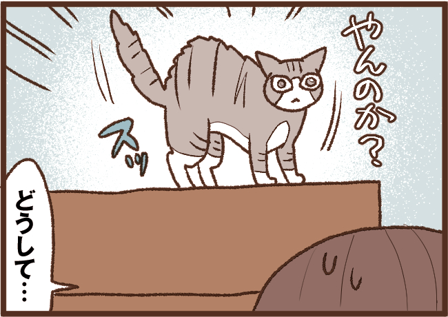 【吉川さん家の猫事情】#47話 変わらないトトのナゾ（写真 7/9） - マンガ連載：吉川さん家の猫事情 - mimot.(ミモット)