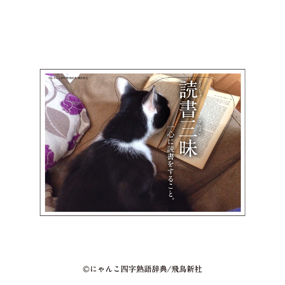 謝罪会見、犯行現場！？「ねこ×四字熟語グッズ」がこんなに可愛い…！（画像あり）（写真 11/14） - mimot.(ミモット)