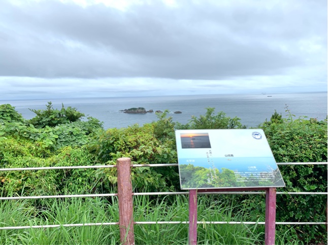 【和歌山】温泉×グルメ×絶景！亀にのって竜宮城へ♪「浦島ホテル」宿泊レポート（写真 11/57） - mimot.(ミモット)