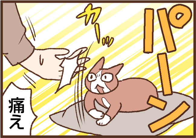 【吉川さん家の猫事情】#79話 強さのヒミツは…（写真 7/8） - マンガ連載：吉川さん家の猫事情 - mimot.(ミモット)