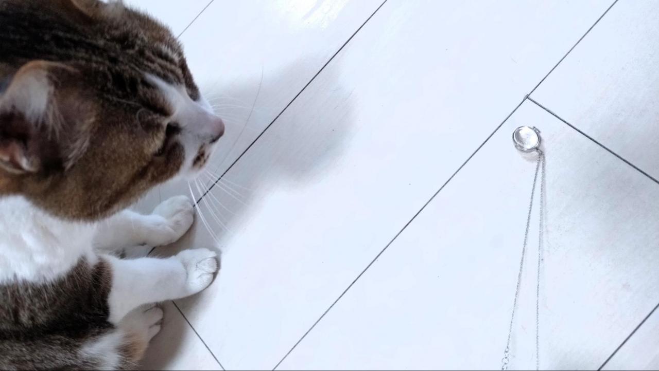 世界にひとつだけ！愛猫の毛で彩る「ペンダント」実際に使ってみたよ♪（写真 22/25） - mimot.(ミモット)