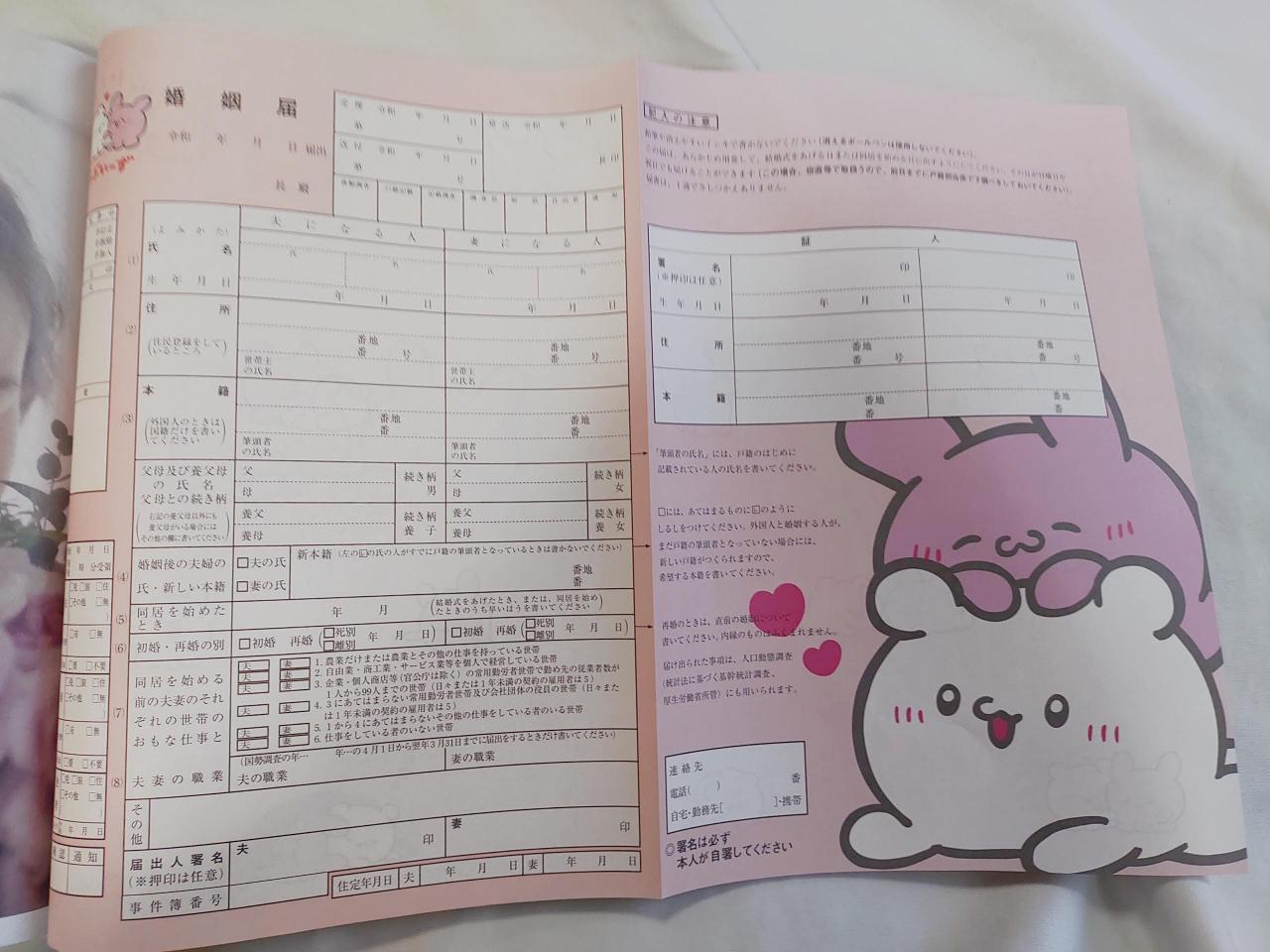 ゼクシィ最新付録がまたまた高クオリティ！ミニーの激かわトラベルポーチだよ♪（写真 39/40） - mimot.(ミモット)