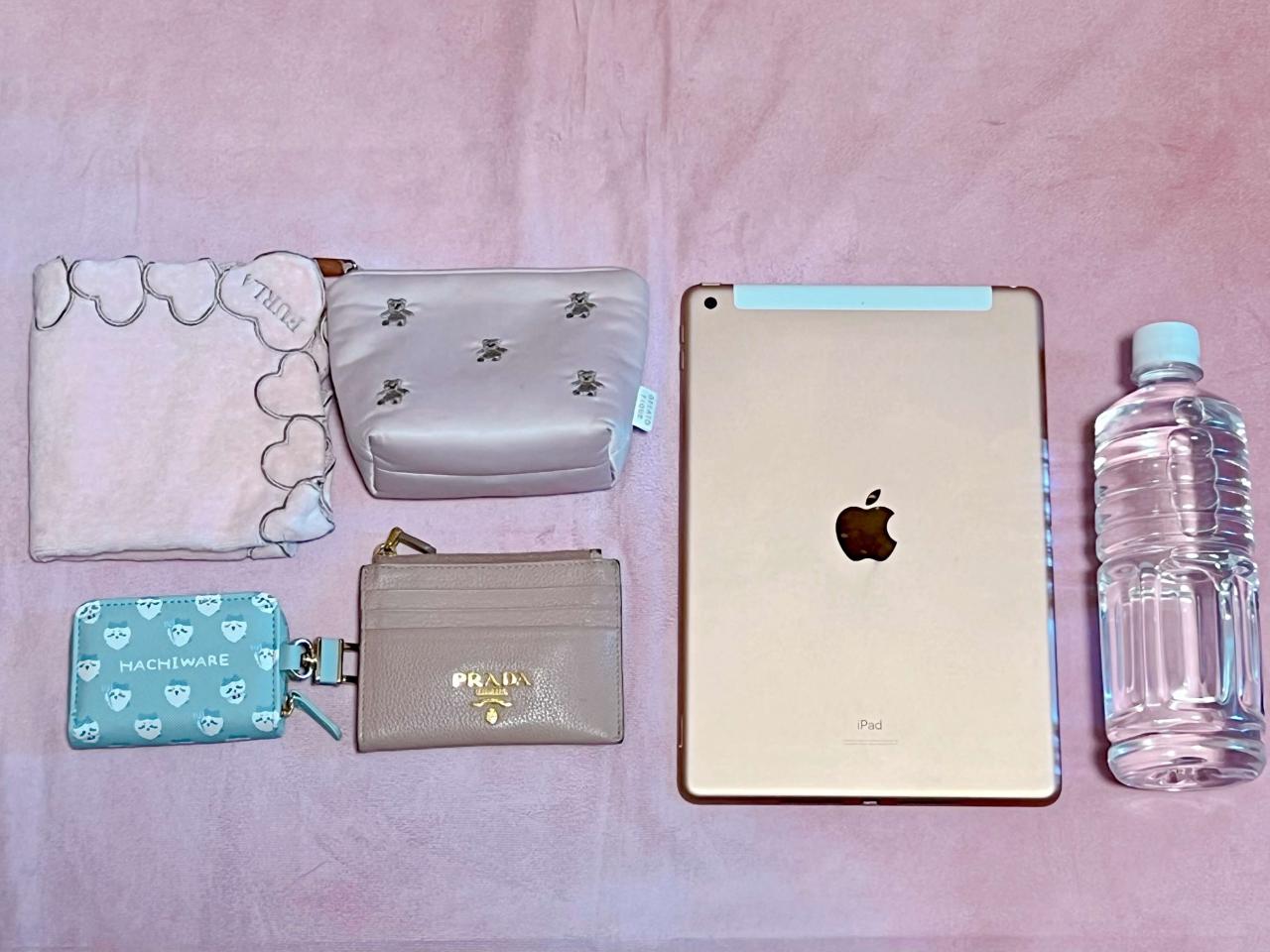 【ちいかわ×しまむら】トートバッグなどコラボグッズ5点を徹底レビュー♪（受注販売もあるよ！）（写真 10/32） - mimot.(ミモット)