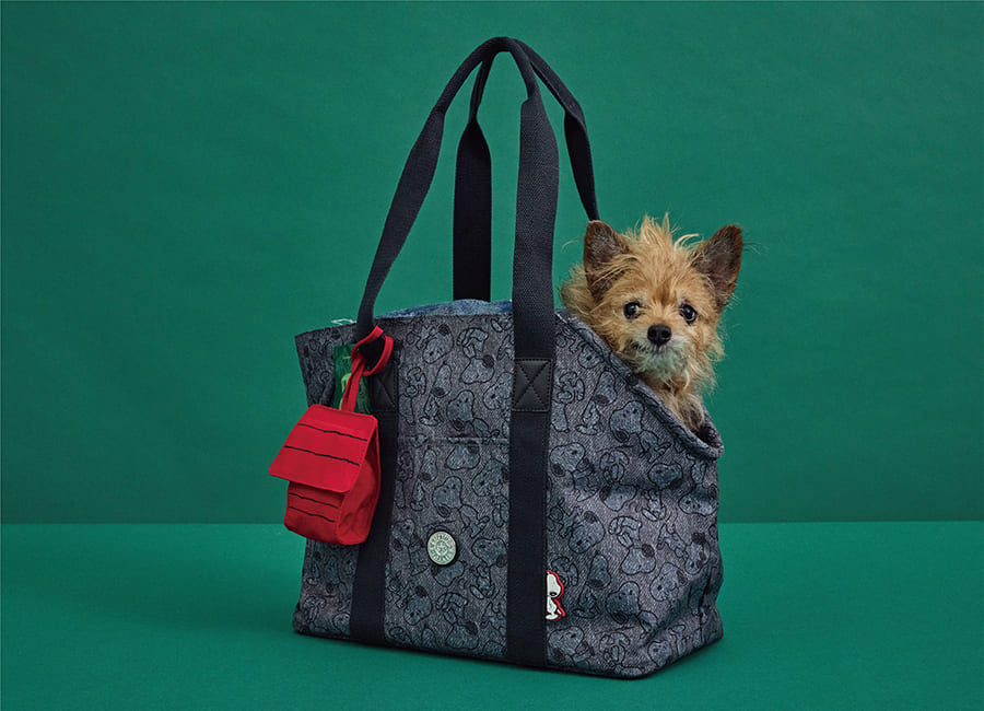 【キプリング×PEANUTS】初コラボ！いつでもスヌーピーと一緒なバッグ誕生（写真 6/7） - mimot.(ミモット)