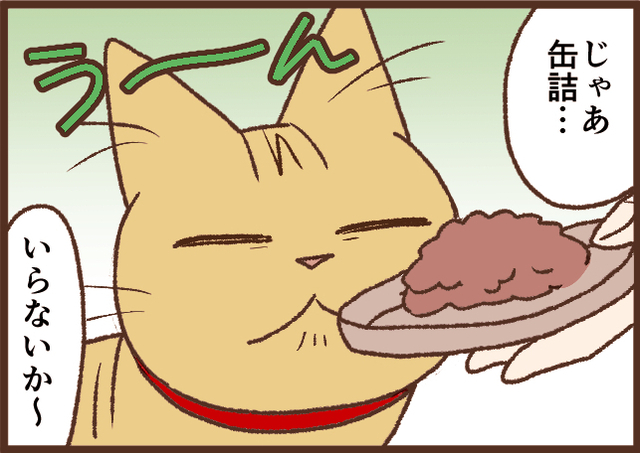 【吉川さん家の猫事情】#95話 食欲が落ちると…（1/2） - マンガ連載：吉川さん家の猫事情 - mimot.(ミモット)