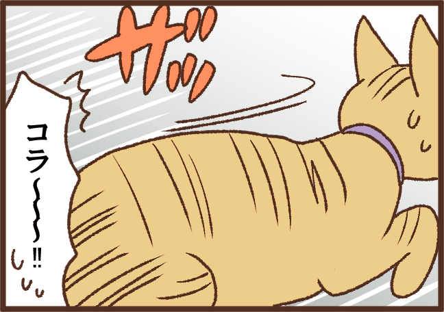 【吉川さん家の猫事情】#39話 やめてくれないコト（写真 8/9） - マンガ連載：吉川さん家の猫事情 - mimot.(ミモット)